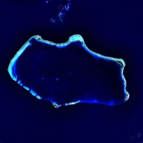 Spongebob Squarepants Encyclopedia Mdpi