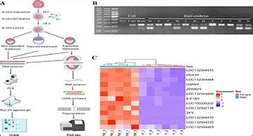 Novogene Europe Expands Sequencing Capabilities With Fifth NovaSeq X Plus System In Europe RNA