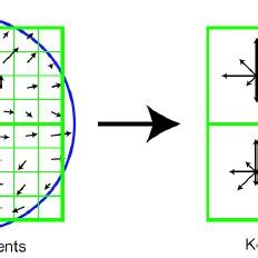 HOG Descriptor Formation Download Scientific Diagram