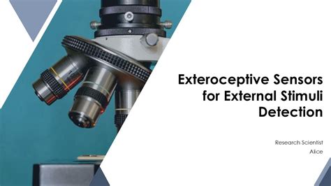 Exteroceptive Sensors External Stimuli Detection Ppt Presentation St Ai