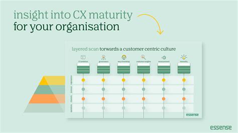Cx Strategy Essense
