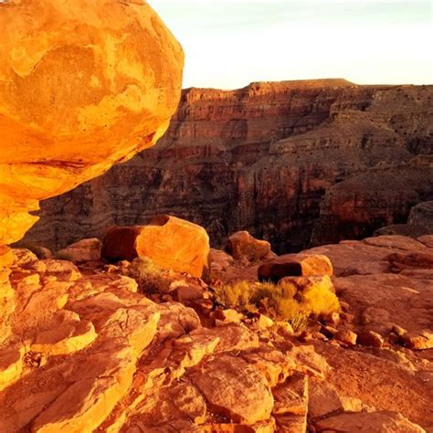 Stream Que Que 4 By Sheldon Runchel Listen Online For Free On Soundcloud