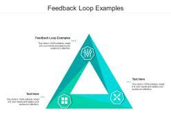 Feedback Loop Examples Ppt Powerpoint Presentation Infographics Format Cpb Presentation