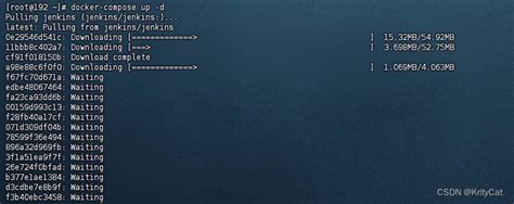 解决docker Compose Up D报error Get Registry V2 Dial Tcp Lookup Registry