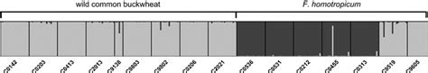 Bar Plot Showing The Result Of One Of The Runs Of Bayesian Download Scientific Diagram