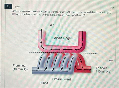 Solved 111 ﻿pointbirds Use A Cross Current System To