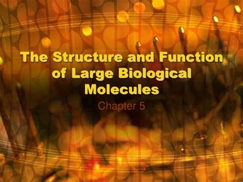 Ppt The Structure And Function Of Large Biological Molecules