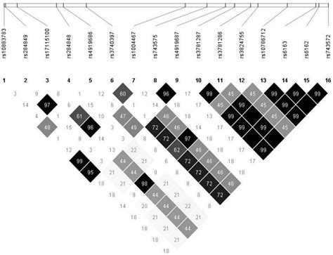 Detection Method For Common Gene Mutations In 17α Hydroxylase Deficiency Applicable To The