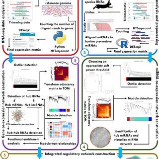 Schematic Step By Step Pipeline Used For Construction An Integrated Download Scientific Diagram