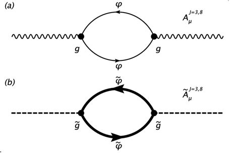 The One Loop Corrections A From Electric Monopoles To The Gluon Download Scientific