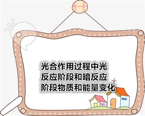 光合作用过程中光反应阶段和暗反应阶段物质和能量变化 教育 学校教育 好看视频