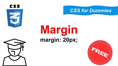 Margin Property In Css Css For Beginners Youtube