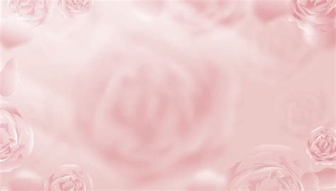 Wall Display Of Blurred Pink English Rose Backgroundvector 3d Scene
