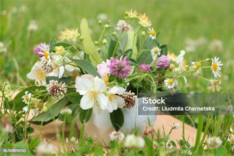 초원의 나무 판에 다양한 야생화와 허브가 있는 세라믹 모르타르 0명에 대한 스톡 사진 및 기타 이미지 0명 건강관리와 의술 계절 Istock