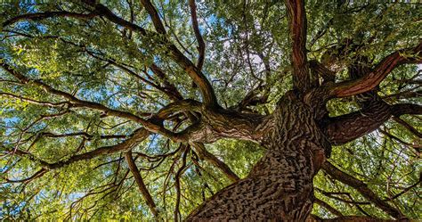 10 Key Best Practices For Git Branch Management By Dr Derek Austin 🥳