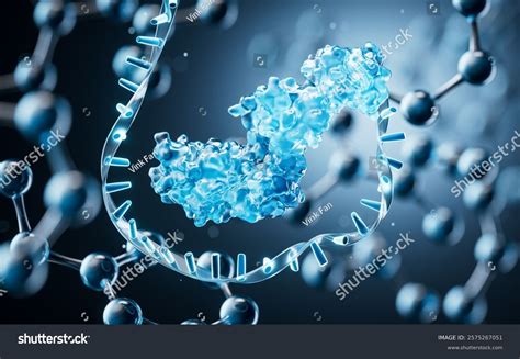 Rna Protein Transparent Molecules Background D Stock Illustration Shutterstock