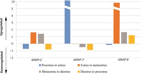 Relative Expression Ratios Of MMP Genes Showing Relative Changes In The Download Scientific