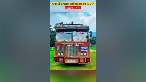 ලංකාවේ ලොකුම බෆර් තියෙන බස් 😜😱🔥 Bus Srilanka බස් කලාව 1million