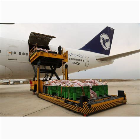 Продам мясо говядины — Agro Kazakhstan