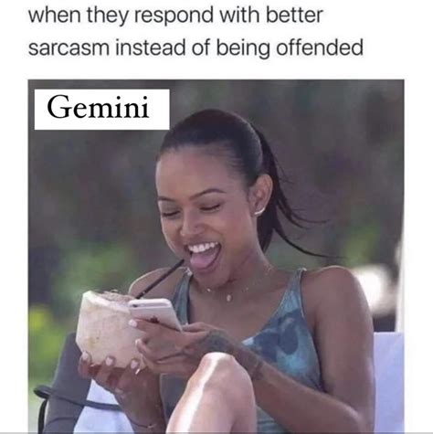 28 Funny And Relatable Gemini Memes So Syncd