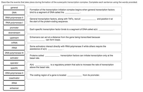 Solved Transcription Complex Describe The Events That