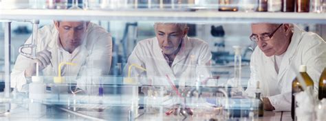 Медицински Факултет Нови Сад