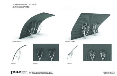Recursive Growth Bifurcation Structures Conceived As Branching