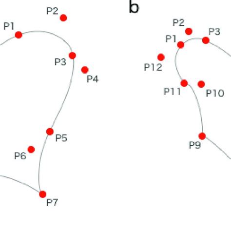Setting Of Both Lung Fields Download Scientific Diagram