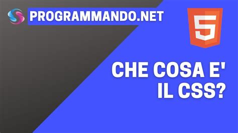 Che cosè il CSS programmando net