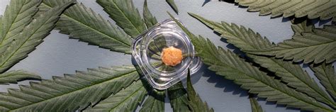 Dosage And Usage Guidelines Earths Own Naturals