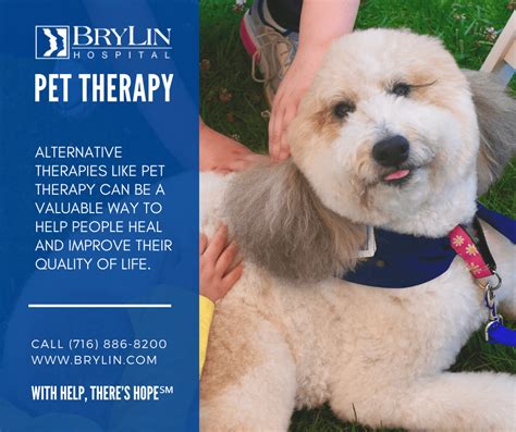 Pet Therapy An Alternative Therapy Brylin Hospital