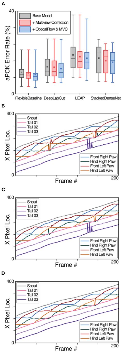 Multiview Paw Correction Algorithm Evaluation Of Optiflex A Box