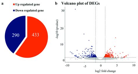 Differential Expression Of 15 Dap Endosperm From Wt And The S1 Mutant Download Scientific