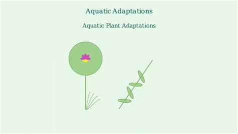 Simple Diffusion Explained Biology Notes Online
