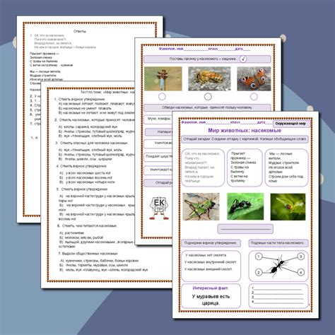 Рабочий лист «Мир животных Насекомые 1 класс