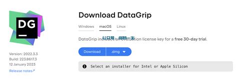 Datagrip 202233 最新破解教程 永久激活码 注册码破解码 Ide激活网 Datagrip 202233 最新破解教程 永久激活码 注册码破解码 Ide激活网