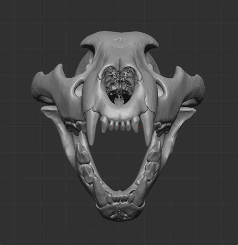 Obj File Lion Skull・design To Download And 3d Print・cults