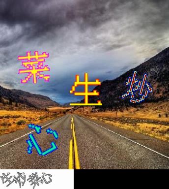 python ddddocr验证码识别 wstong 博客园