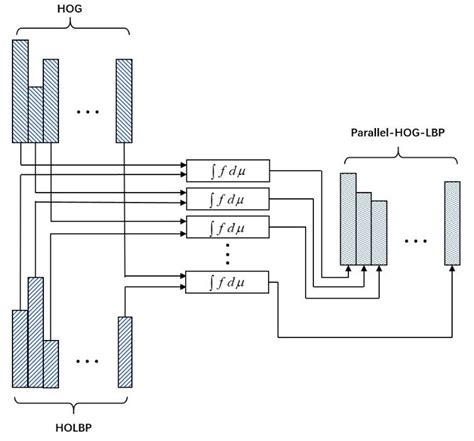 Feature Fusion Of Hog And Holbp By Choquet Integral Download Scientific Diagram