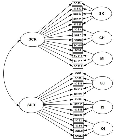 Self Compassion Scale Irt Psychometric Analysis Validation And Factor Structure Slovak