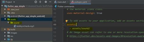 Complete Source Code Audio Player In Flutter Assets Audio Player