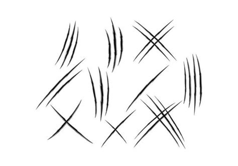 Cat Scratch Mark Vector Art Icons And Graphics For Free Download