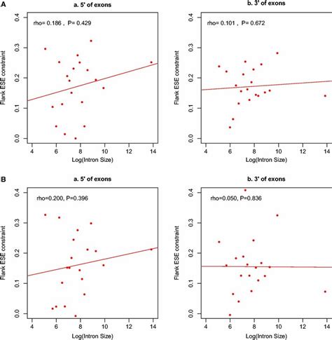 The Degree Of Selective Constraint On Ese Sequences At Exon Ends As A