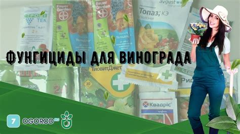Фунгициды для винограда - YouTube