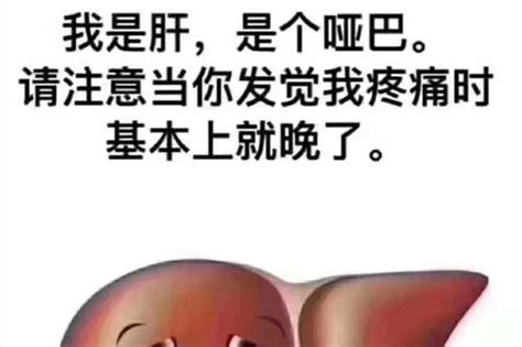 我是肝，是个哑巴，你的小心肝，你保养爱车时，可曾想过保养我凤凰网视频凤凰网