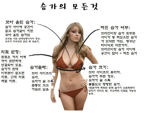禁 자위학개론 탄 의젖 참젖 구별법 엄빠주의 수위높음 연애상담 에펨코리아