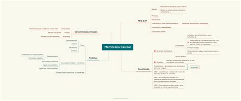 Aspectos Gerais Da Membrana Celular Esquemas Citologia Docsity