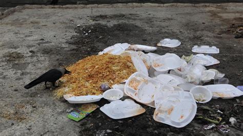 Nutrient Based Subsidy Nbs Scheme Current Affairs Ias