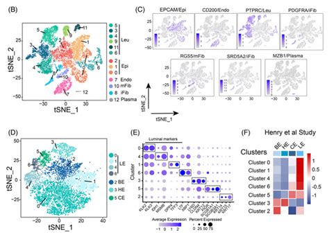 项目文章 利用单细胞技术刻画老年前列腺外周区和移行区图谱 知乎