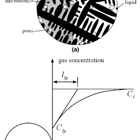 Pdf Modeling The Effect Of Finite Rate Hydrogen Diffusion On Porosity Formation In Aluminum Alloys